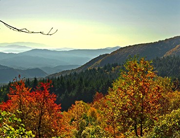 Bando "Custodi della Montagna" - Unione dei Comuni Val di Bisenzio